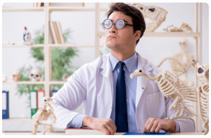 Plataforma Online de Autoestudio - Blue Parrot School - Landing ...